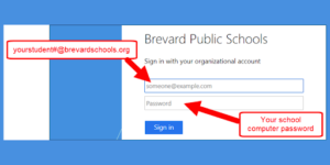 BPS Launchpad - A Detail Guide